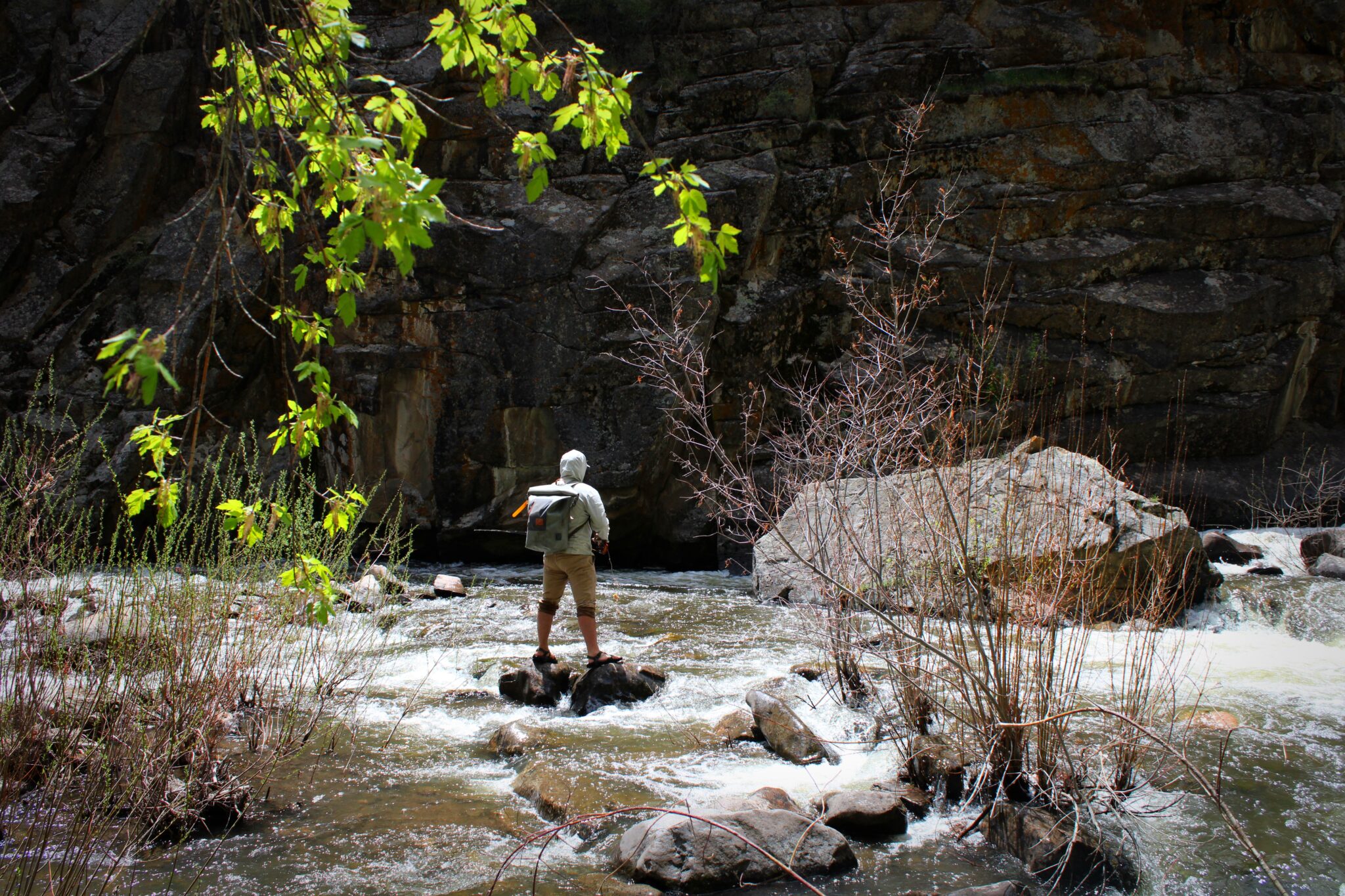 Check Out the Great Rivers Gunnison Fly Fishing Outfitters Calls Home