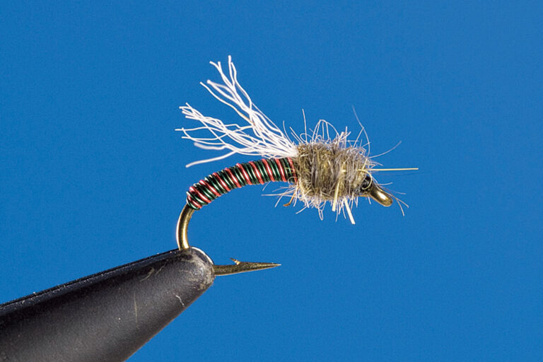 Midges for Fly Fishing: Life Cycles + Patterns | Gunnison Outfitters